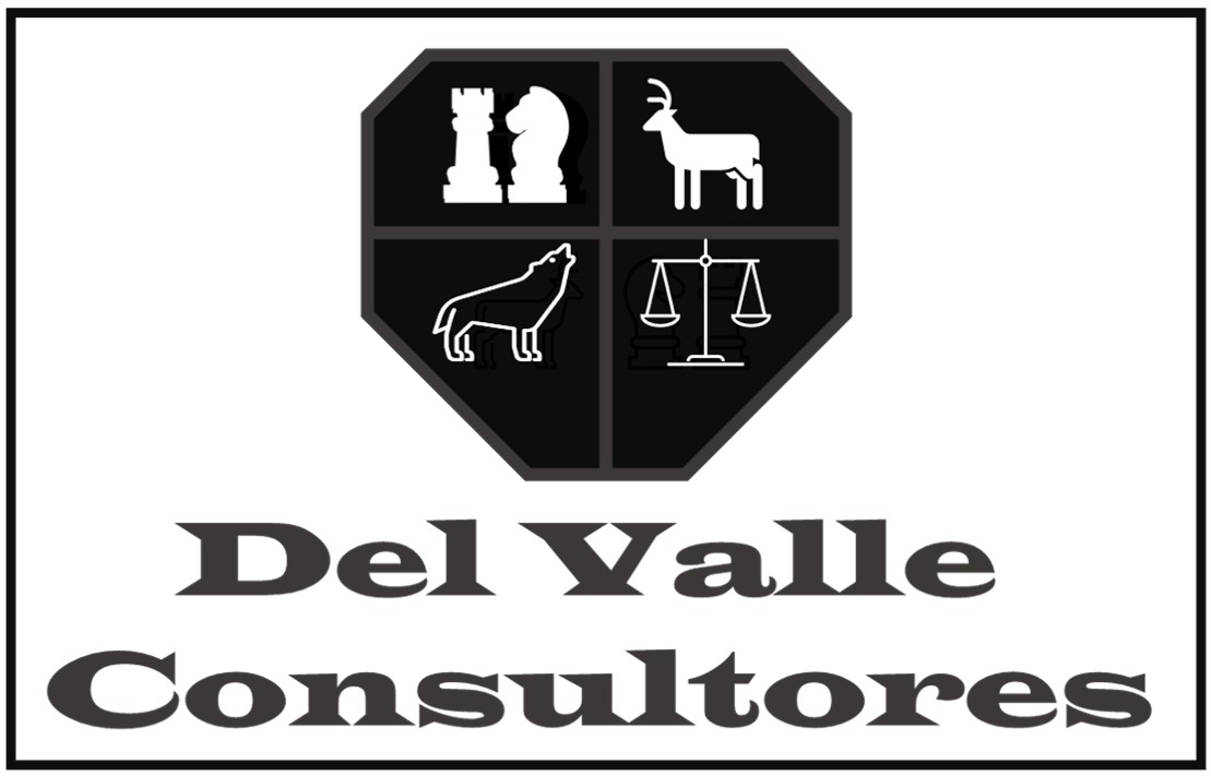 Consultores Del Valle